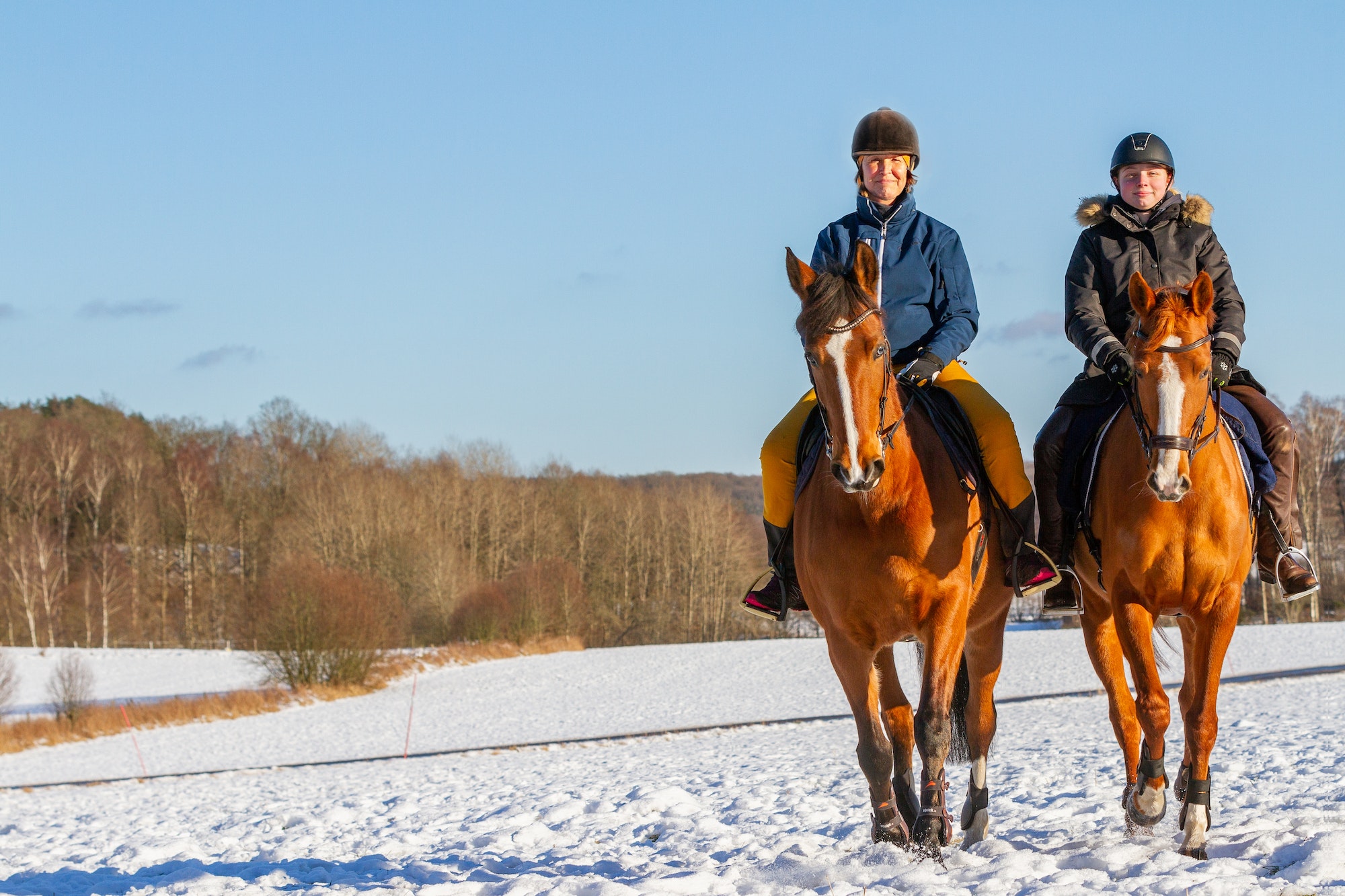 Discover the Magic of Horseback Riding: A Beginner's Guide to Lessons ...