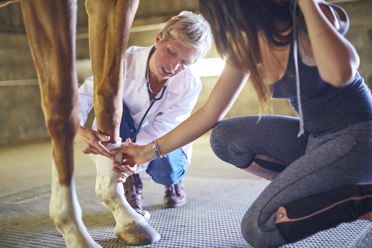 The Most Common Horse Riding Injuries and How to Avoid Them - Best ...